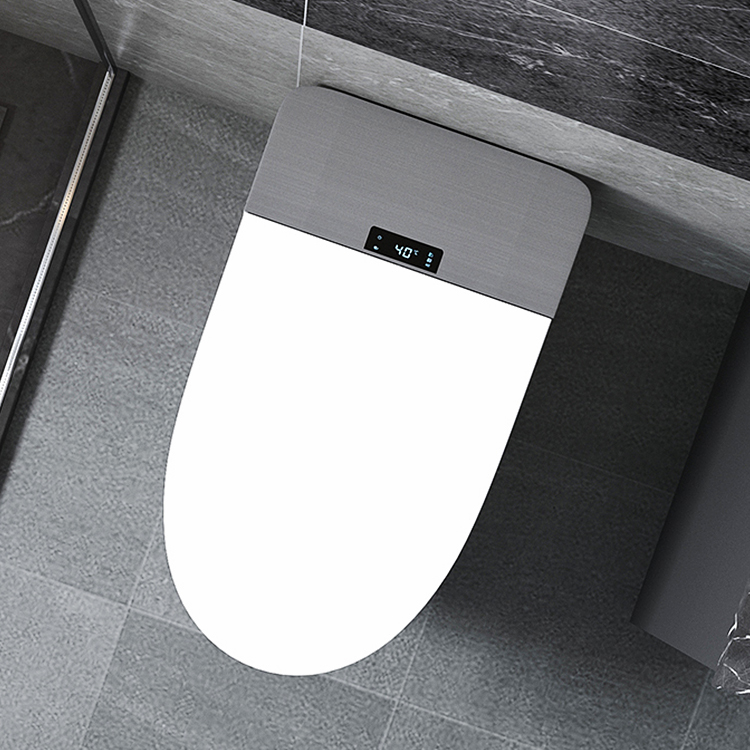 Fully automatic luxury modern design electronic smart toilet | toilet ...