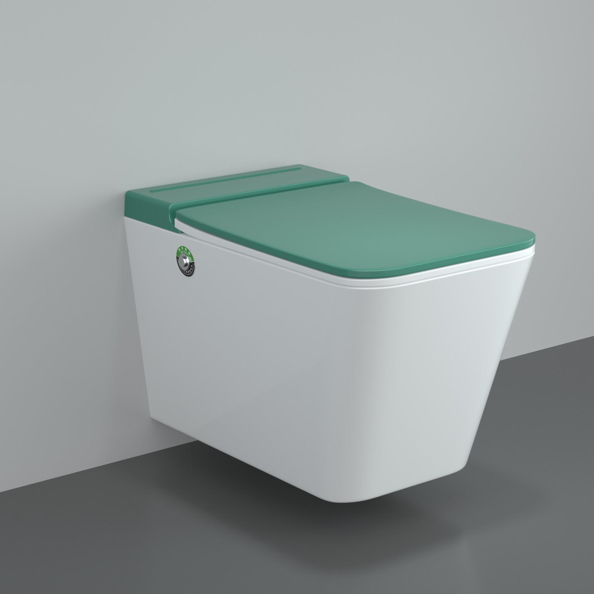 Classification and application of toilets | toilet manufacturers