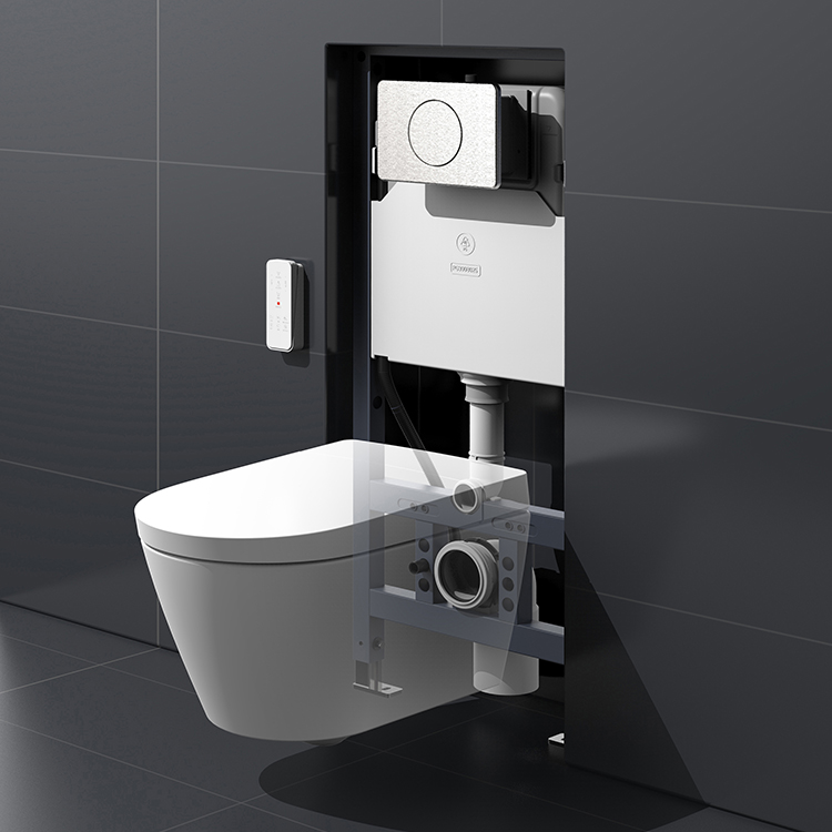 HEGII luxury european wall mounted concealed tank toilet | toilet manufacturers